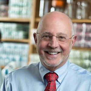 Vascular Discovery Programming - Professional Heart Daily | American ...