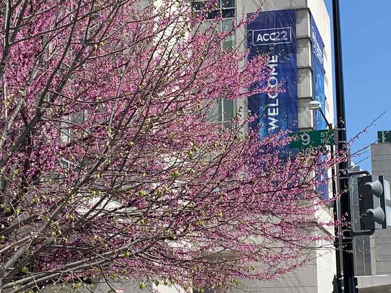 ACC 2023 Science News - Professional Heart Daily | American Heart Association