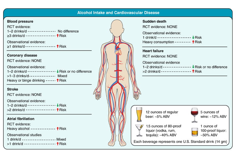 Alcohol Use and Cardiovascular Disease - Professional Heart Daily ...