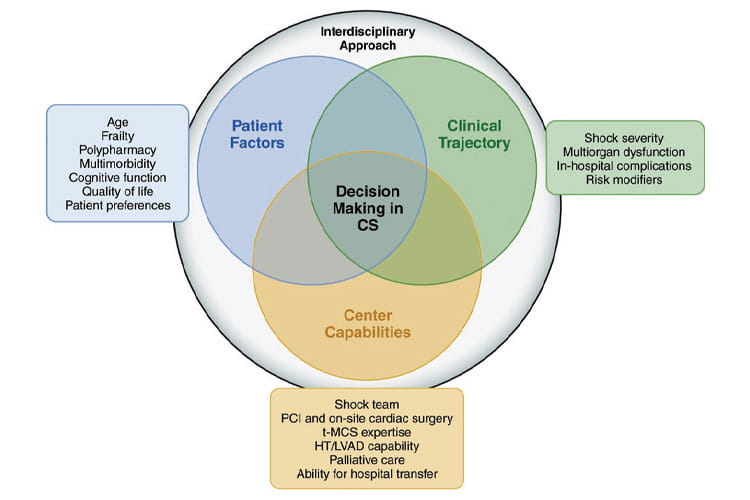 Cardiogenic Shock in Older Adults: A Focus on Age-Associated Risks and ...
