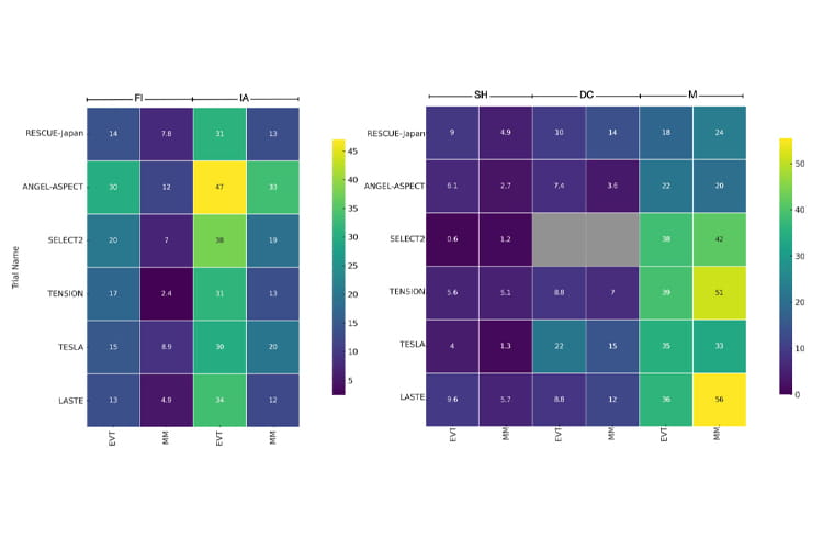 Large-Core Ischemic Stroke Endovascular Treatment - Professional Heart ...