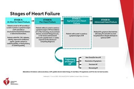 2022 AHA/ACC/HFSA Guideline for the Management of Heart Failure ...