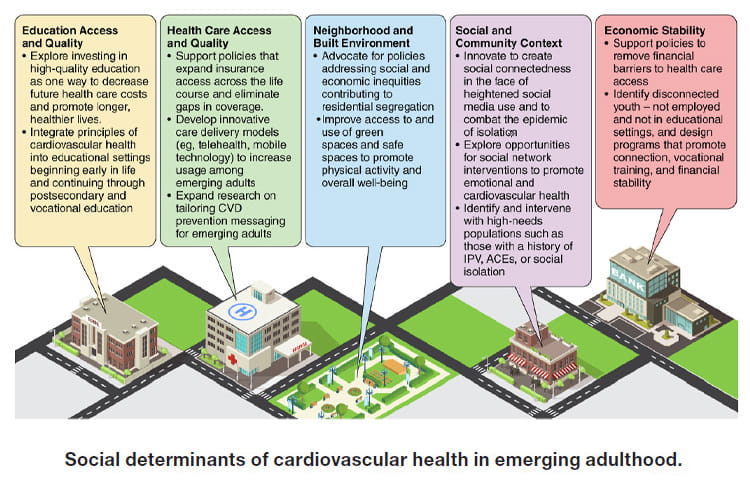 Cardiovascular Health in the Transition From Adolescence to Emerging ...