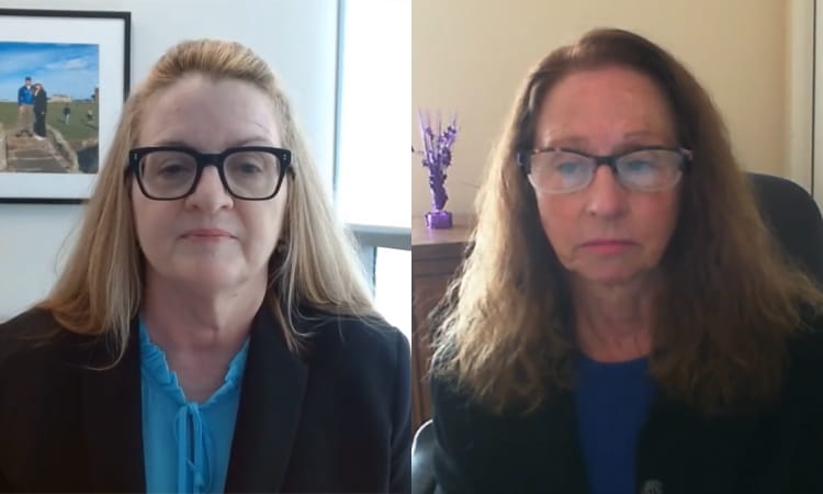 Nursing Wellness in Academic and Clinical Cardiovascular and Stroke ...